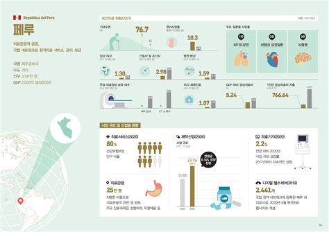 국제의료정보포털 국가별정보 인포그래픽