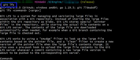 Git 提交大量大文件的正确姿势及错误处理 知乎