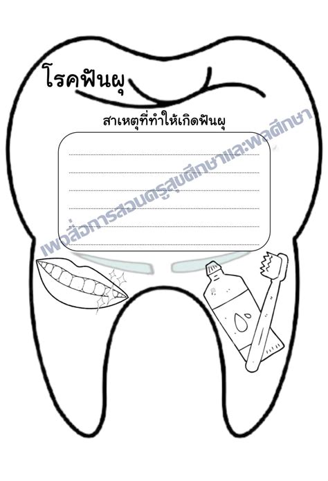 📢 ใบงาน สื่อใบงาน สื่อการสอนครูสุขศึกษาและพลศึกษา