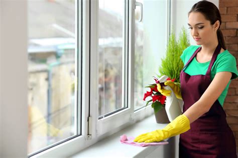 How To Clean Mold From Window Sill In 5 Easy Steps