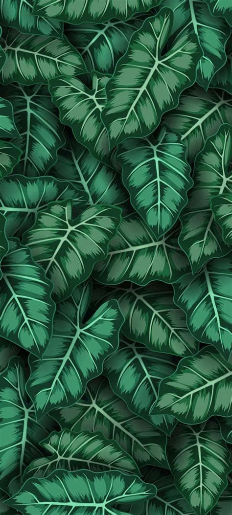 1400 Exotic Wallpapers