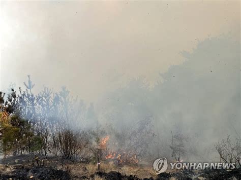 연기 가득한 산 연합뉴스