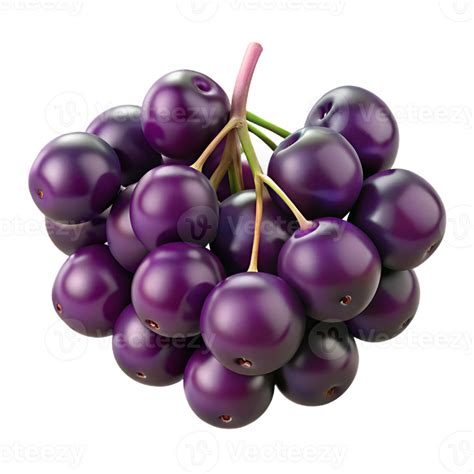 3d Render Of Dark Purple Berries 53811266 Png