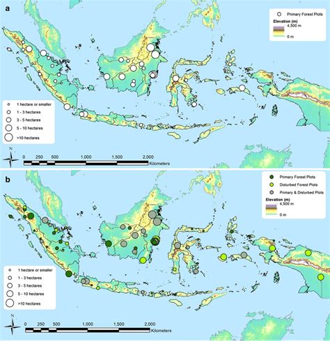 A Locations Of Primary Forest And B Primary And Disturbed Permanent Download Scientific Diagram