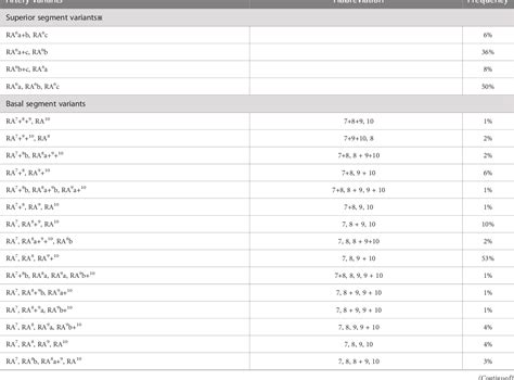 Figure 1 From An Atlas Of Anatomical Variants Of Subsegmental Pulmonary Arteries And Recognition