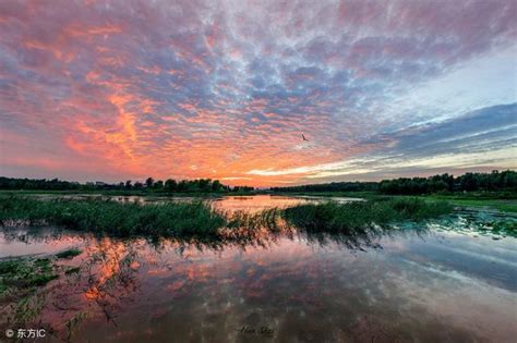 王勃《滕王阁序》后面的《滕王阁诗》，很少人读过南浦