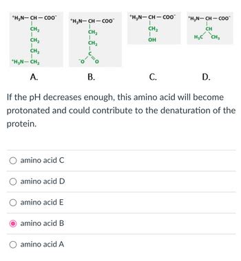Answered H N Ch Coo I Ch Ch Ch I H N Ch A O Amino Acid C O Amino Acid D O Amino