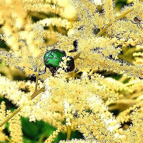 Компетентное изучение французского языка Французский язык Added A New