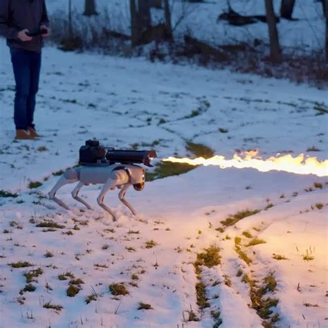 First Flame Throwing Robot Dog On Sale For Less Than 10000