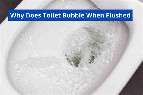 Why Does Toilet Bubble When Flushedfix Toilet Gurgling2025