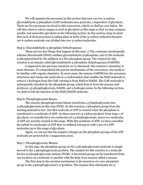 Stage 2 Conversion To Pyruvate We Will Examine The Processes In This Section That Turn Our Two