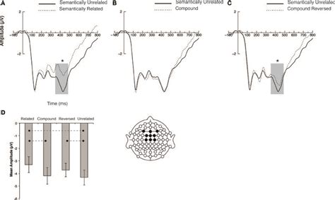 Event Related Brain Potentials Elicited By The Four Experimental Pairs Download Scientific