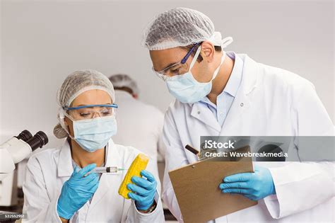 음식 과학자 주입 옥수수 Cob 18 19세에 대한 스톡 사진 및 기타 이미지 18 19세 20 24세 20 29세 Istock