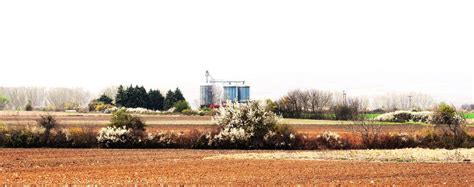 Ομάδα για Αγροτικός Συνεταιρισμός Δημητριακών Ορεστιάδας Η Ενωση