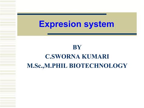 expression system final pptx programming languages computing