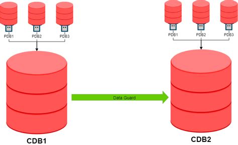 Nagaraju P On Linkedin Oracle Data Guard Per Pluggable Database Hands On