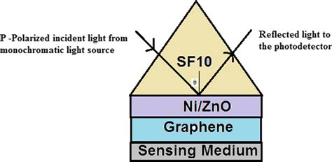 Schematic Diagram Of Proposed Optical Biosensor Download Scientific Diagram