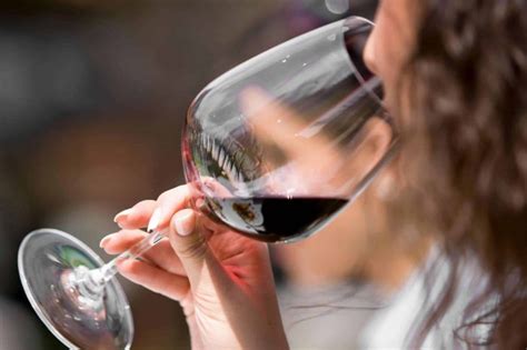 4 шага для оценки качества вина Виноград виноградарство Саженцы винограда Красохиной С И