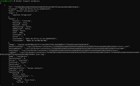 Chmod 777 Chule Blog Guia De Uso Comando Docker