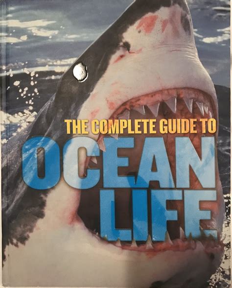 Ocean Food Chain Exle