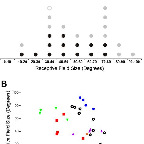 Receptive Field Properties Of Iprgc Population Recorded From The Rd Rd Download Scientific