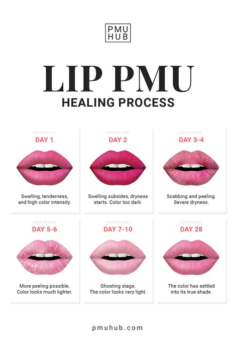 Lip Blush Healing Process Day By Day Timeline And Stages Lip Permanent Makeup Lip Healing