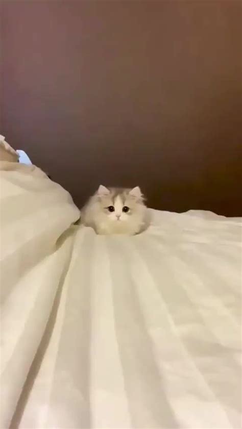 Hello Imgur Album On Imgur