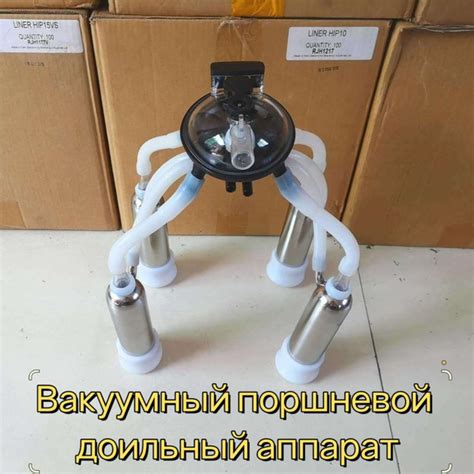 Подвесная доильная часть в сборе для коров попарное доение купить с доставкой по выгодным