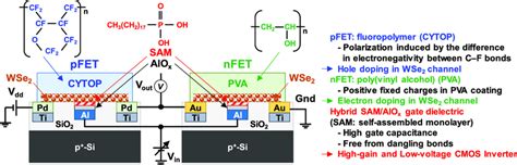 Color Online Schematic Cross Sectional View And Device Concepts In Download Scientific