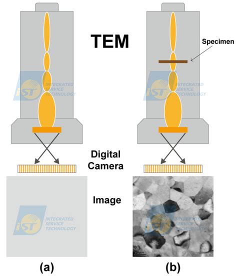 Tem Image Interpretation How To Interpret The Brightness And Darkness Ist