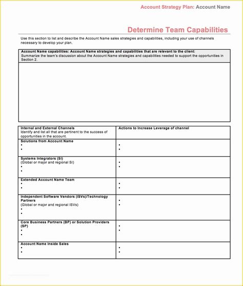 Key Account Plan Template Free Download Of Strategic Account Plan