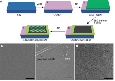 A Schematic Procedure For The Photoanode Preparation With 5 Steps Ald