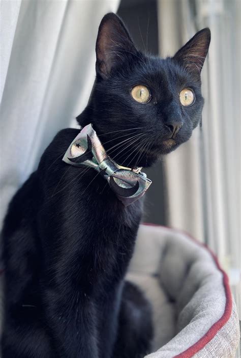 The Barbie Movie Was Great Wolverine Rbattletech