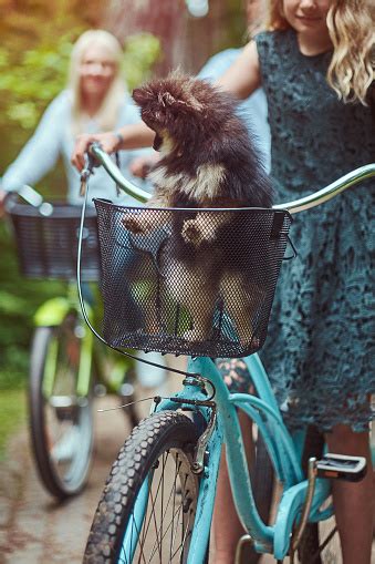 공원에서 귀여운 스 피 츠 강아지와 함께 자전거를 타고 금발 머리를 가진 어머니와 딸의 초상화 가족에 대한 스톡 사진 및 기타 이미지 Istock