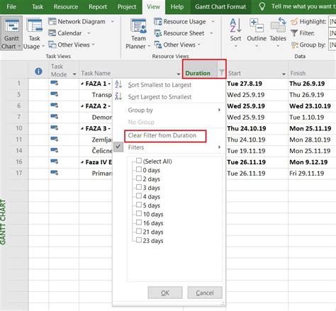 Filteri U MS Projectu Project Management Srbija