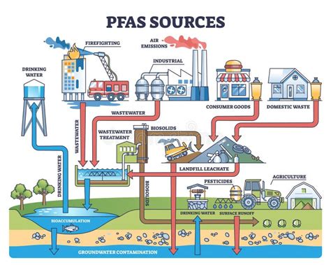 Pfas Sources Diagram Shows Industrial Emissions Consumer Goods And