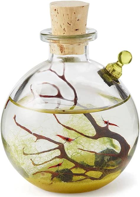 Self Sustaining Ecosystem