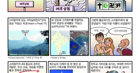 [먼나라 이웃나라 역사 프리즘] ⑫ 4대 종교의 성지 스리랑카