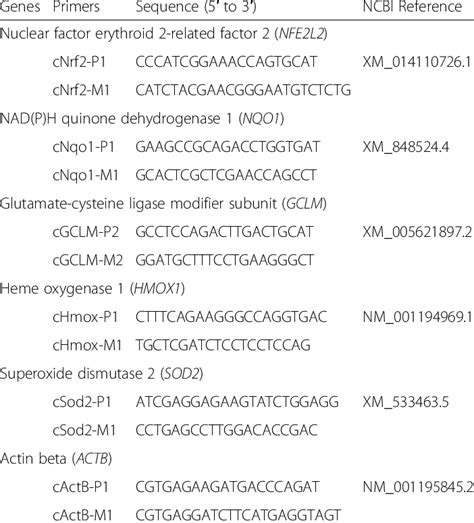 Primers Used For Quantitative Real Time Reverse Transcription Download Table