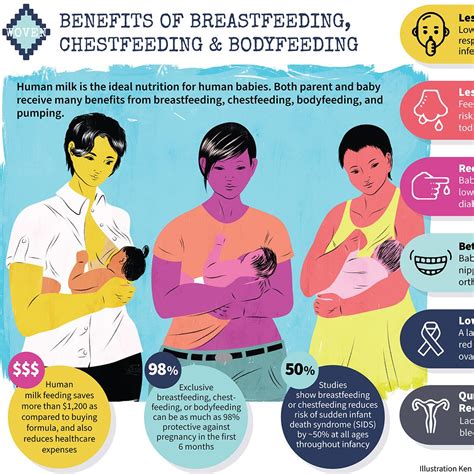 Breastfeeding Science Facts At Zane Bussell Blog