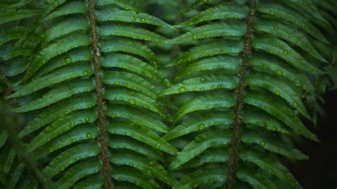 Ride With Purpose Featuring Ashley Duffus Jambor Wtb