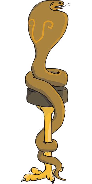 Python文字列の整形：rjust Ljust Centerでテキストを揃える 森の株