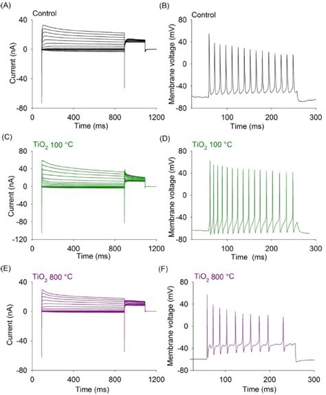 Representative Membrane Ionic Currents And Membrane Voltage Response Of