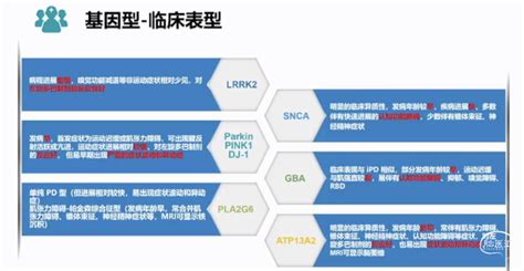 【学术报告整理】帕金森病的遗传背景与神经调控决策——大连医科大学附属第一医院梁战华教授分享 脑医汇