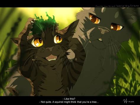 Warriors By Erin Hunter