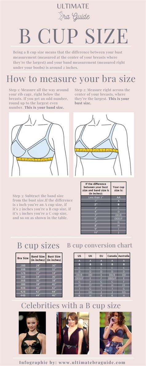 B Cup Size Ultimate Guide What B Cup Boobs Look Like 2023