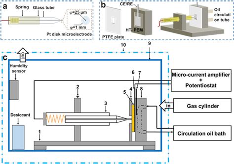 A Schematic Diagram Of Microelectrodes B Schematic Diagram Of Test Download Scientific