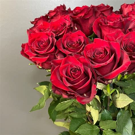 Rozes Ziedu Piegāde Rīgā