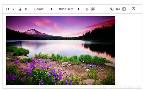 Vue Quill Editor Element 实现富文本自定义上传图片和视频vue Quill Editor富文本编辑器结合elementui上传图片格式base64转成图片路 Csdn博客