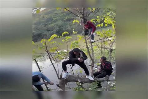 一家人坐在一棵树上砍树枝各司其职谁也不顾谁你觉得谁最安全 顾谁 树枝 一家人
